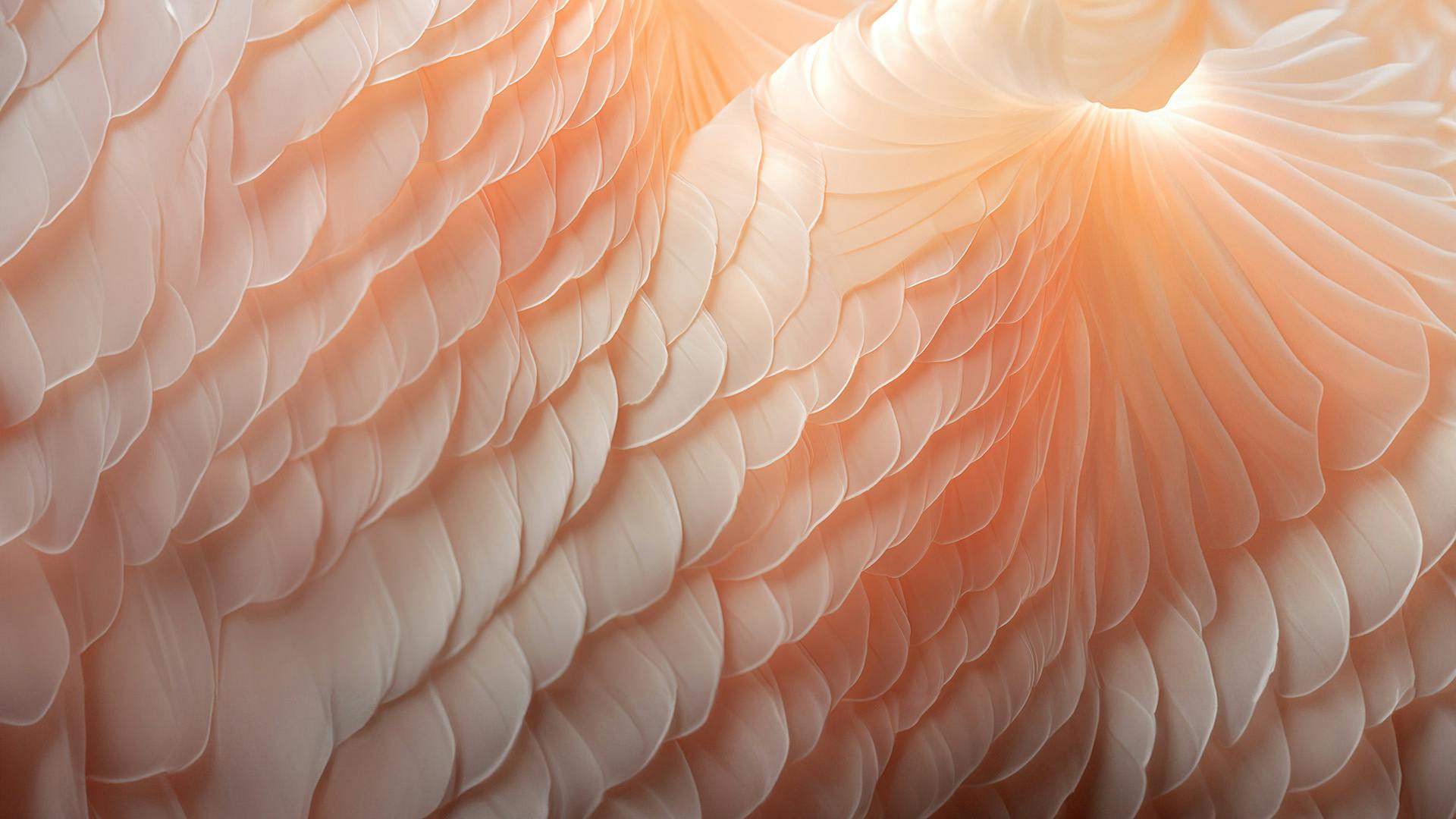 Its All Peachy According To Pantones Colour Of The Year 2024