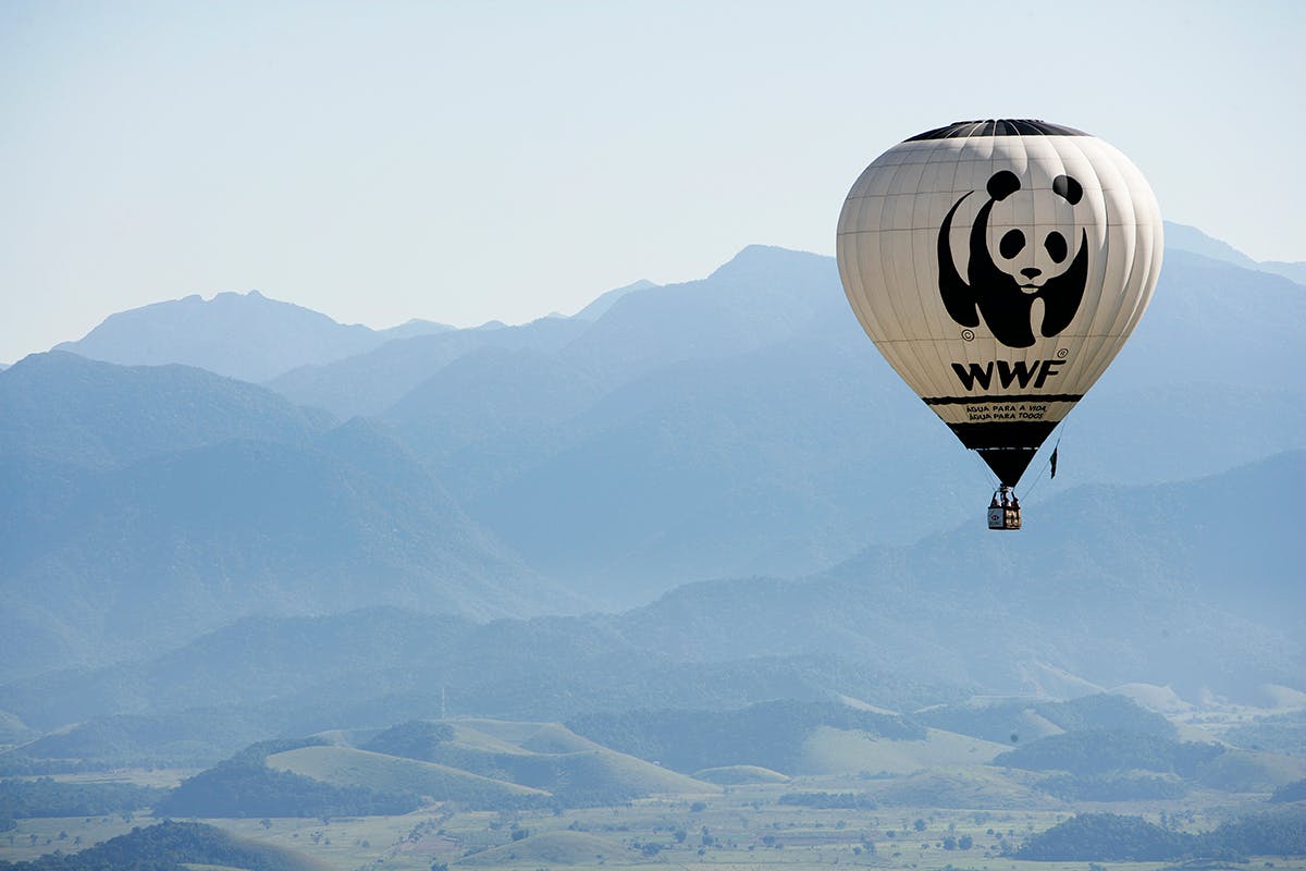 How the World Wildlife Fund logo was designed - Creative Review