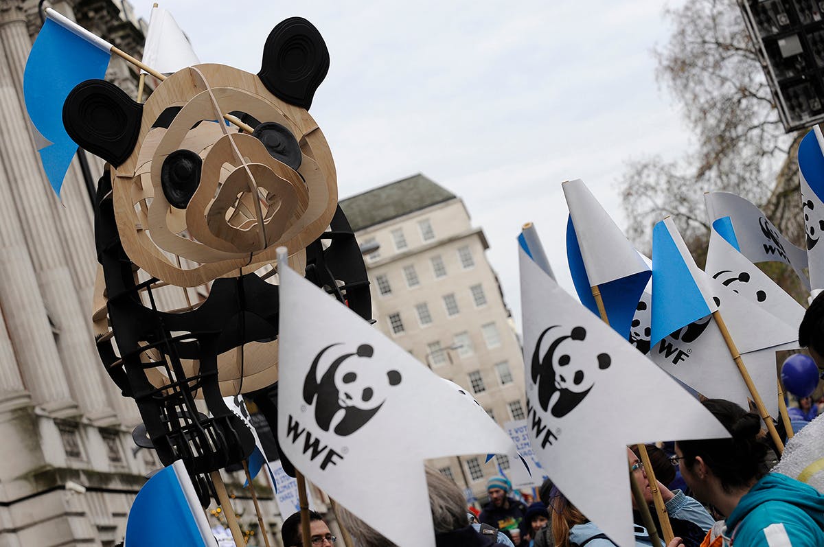How the World Wildlife Fund logo was designed - Creative Review