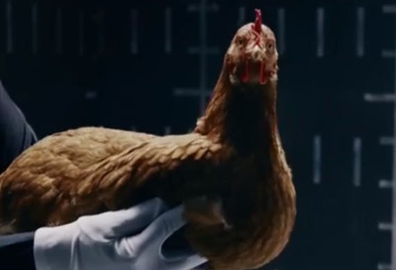 Seven New Ads To Watch