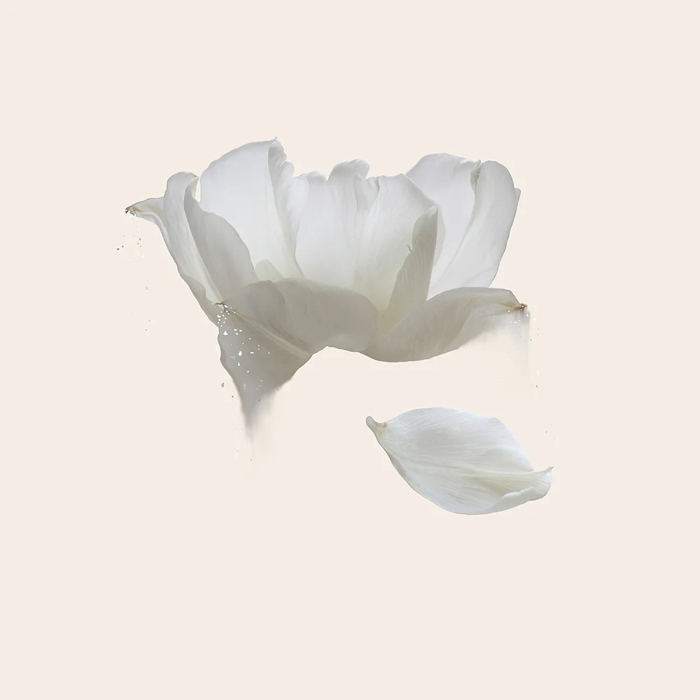 Moody, pretty flowers by Simone Web