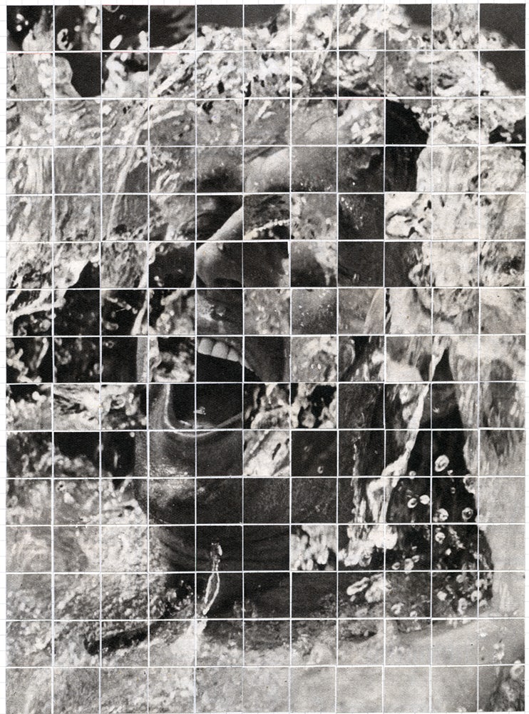 Anthony Gerace on combining photography, collage and design