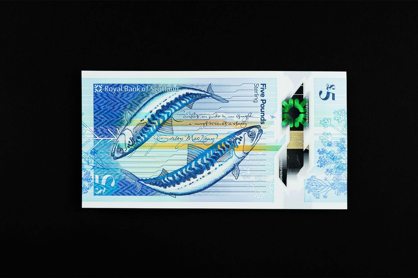 Nile designs Ulster Bank’s new vertical bank notes