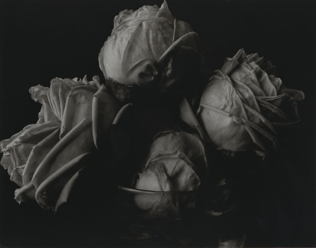 Paul Arden’s photography collection