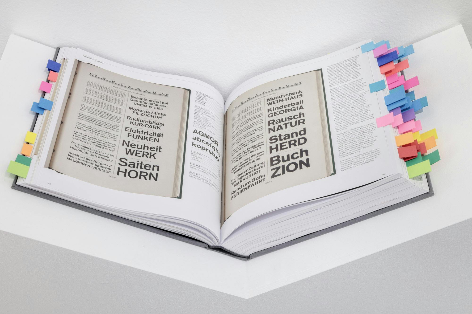 Lucienne Roberts explores the meaning of ‘nice’