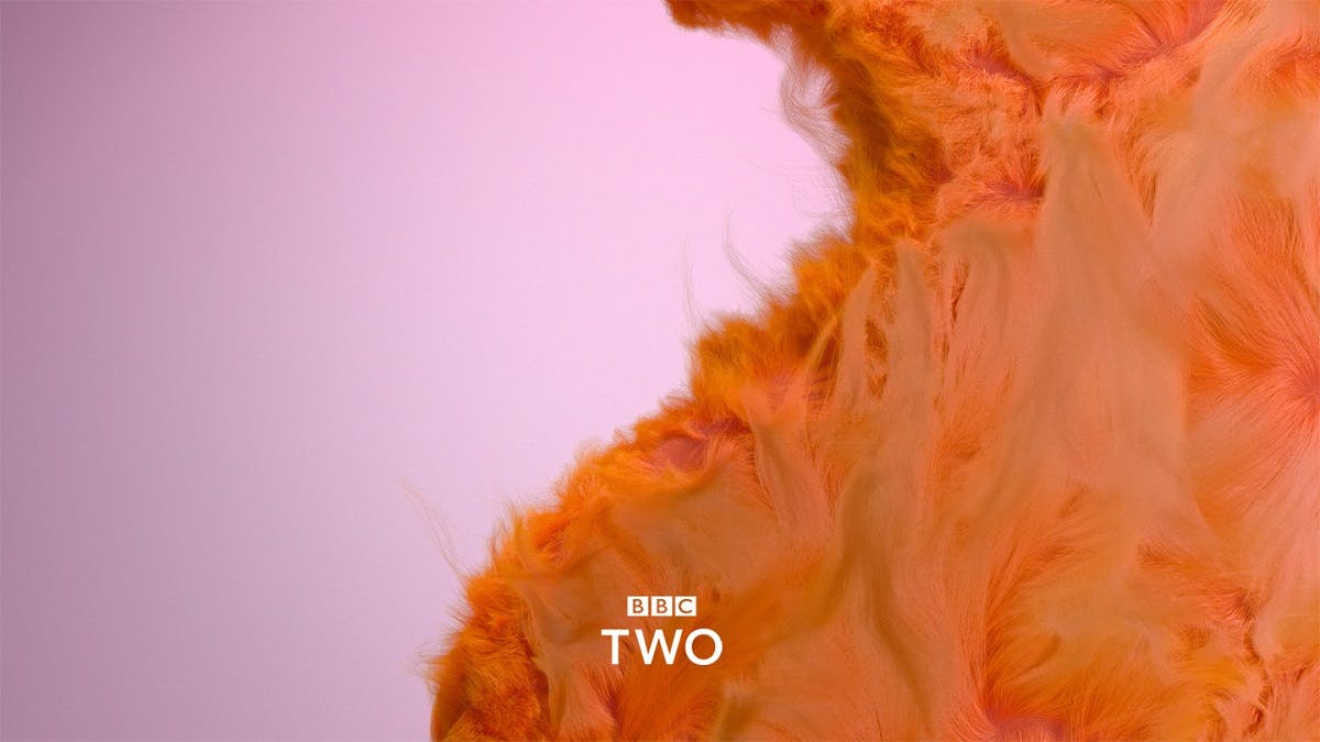 BBC Two rebrands - and there are no fluffy numbers in sight