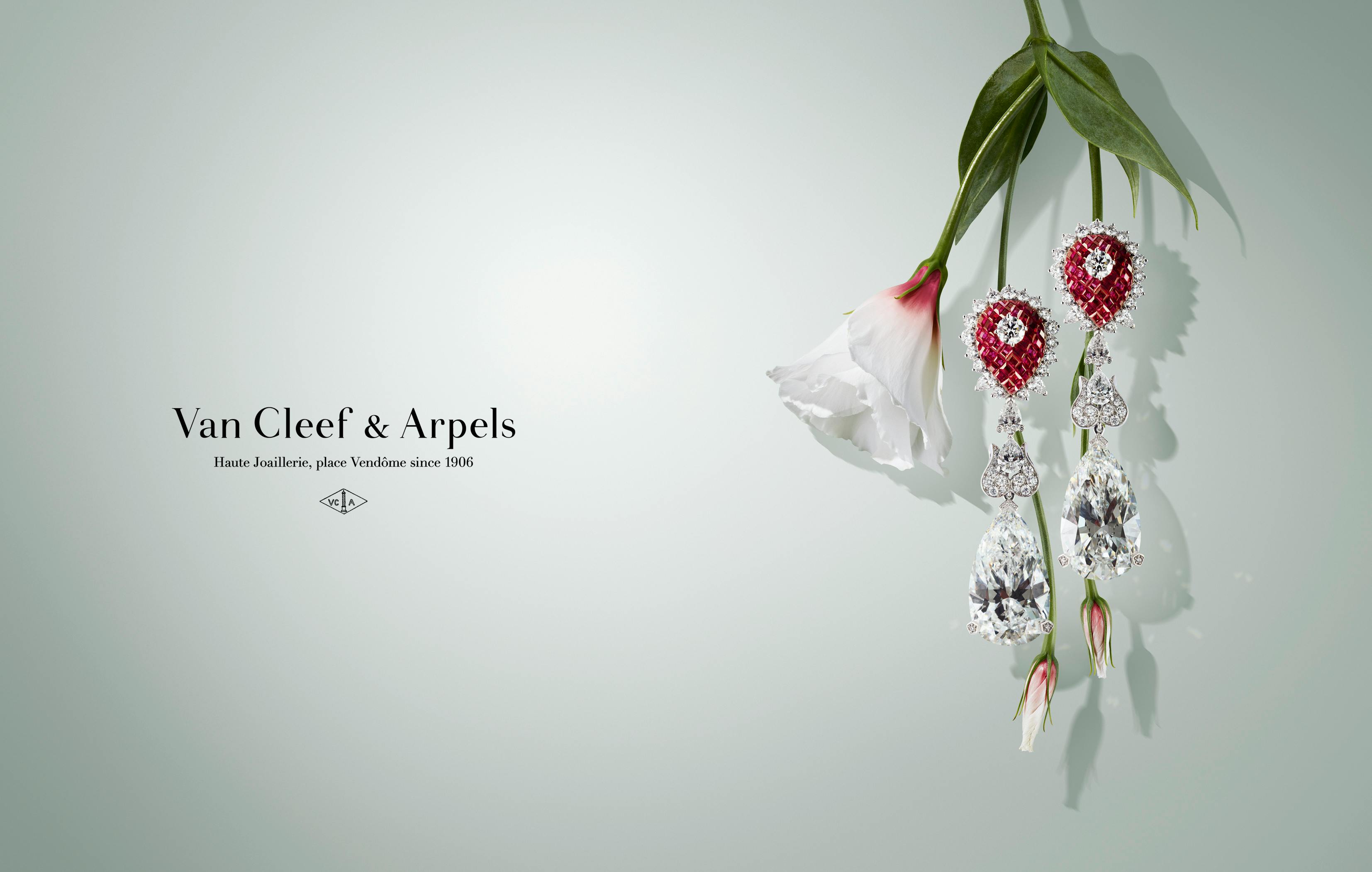 The Creation of Still-Life Masters Coppi Barbieri - Creative Review