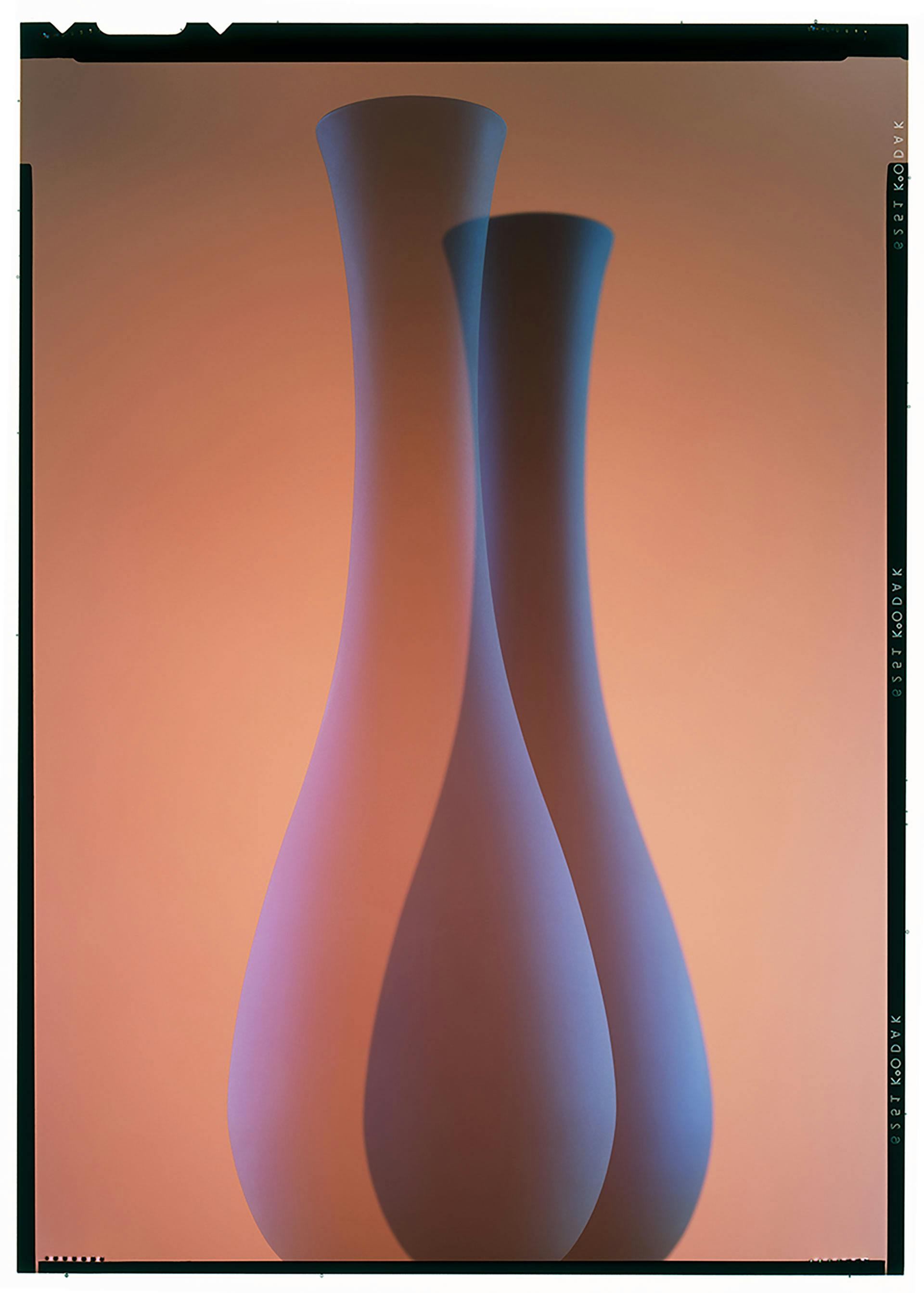 The Creation of Still-Life Masters Coppi Barbieri - Creative Review