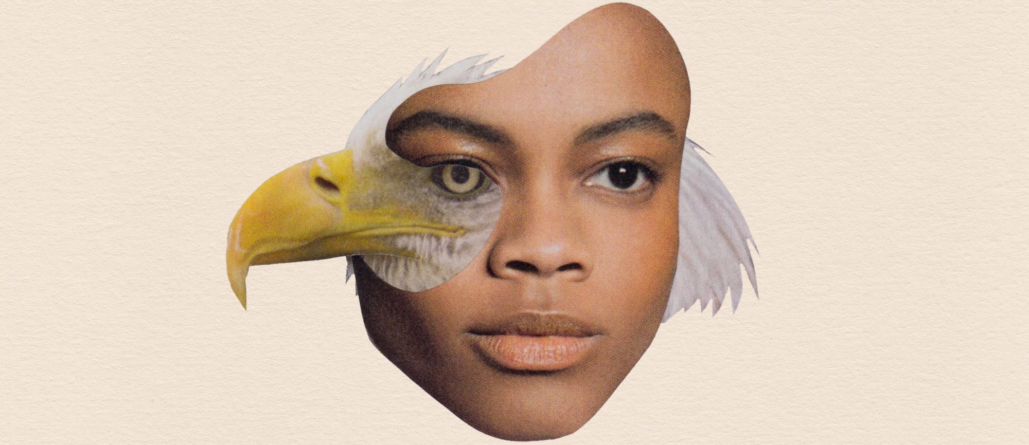 The Daily Splice on forging a career in collage