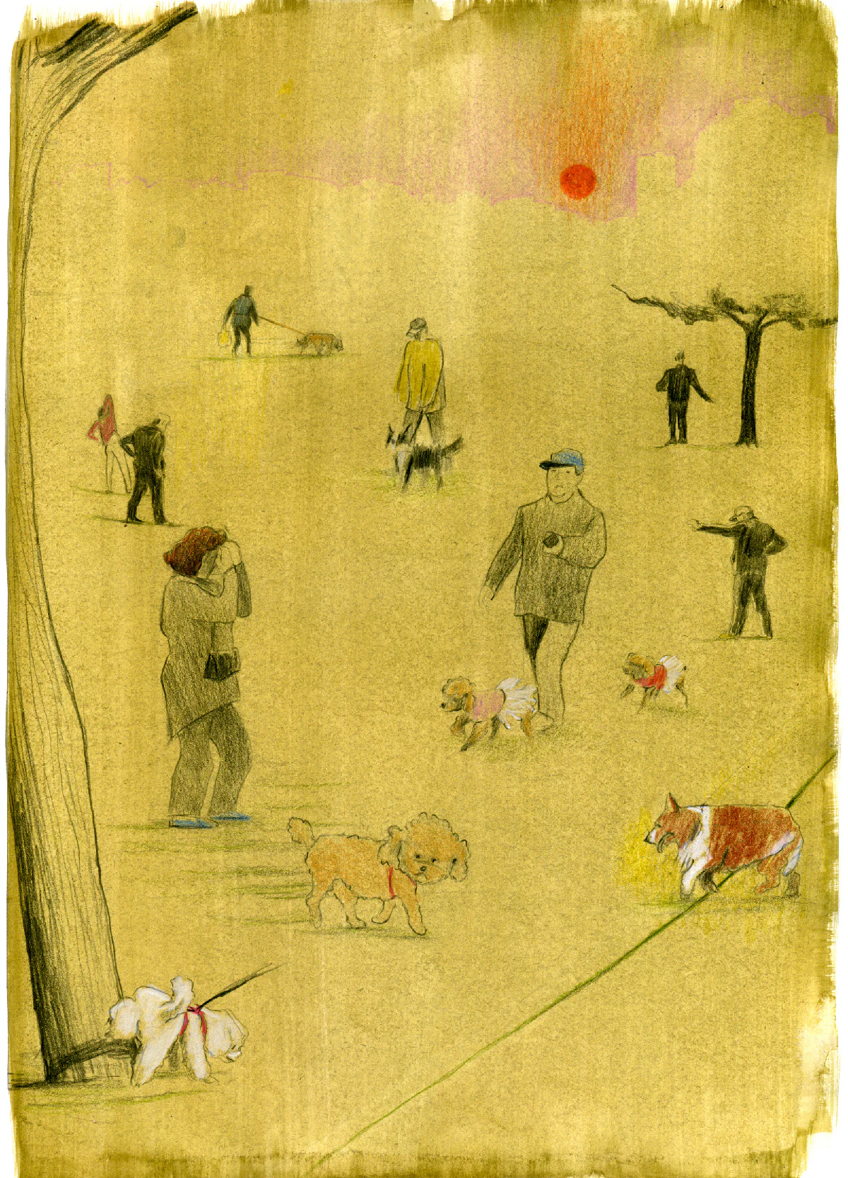 Illustrator Julia Hosse on the highs and lows of choosing a creative path