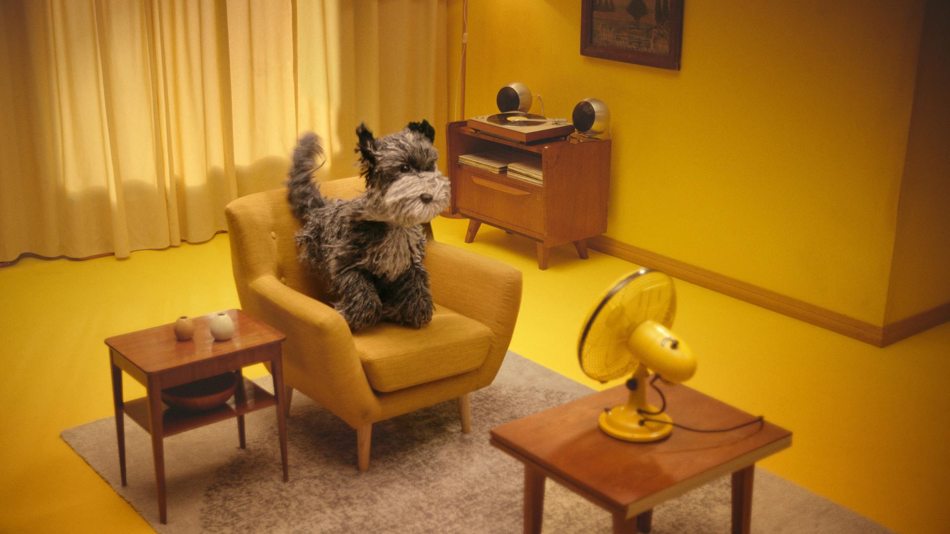 A new ad from the AA aims to get you driving again
