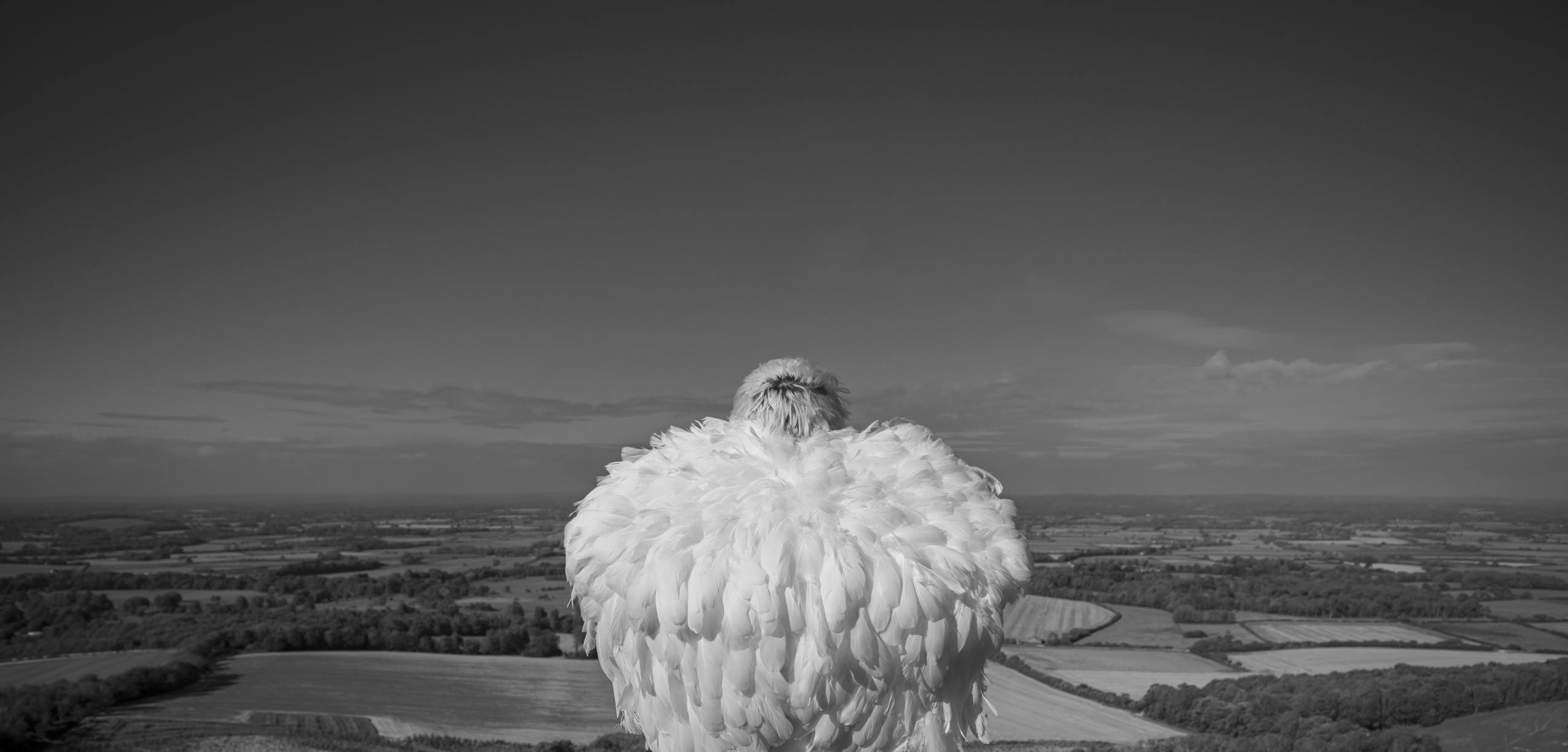 Tim Pope directs video for new track by Tim Burgess