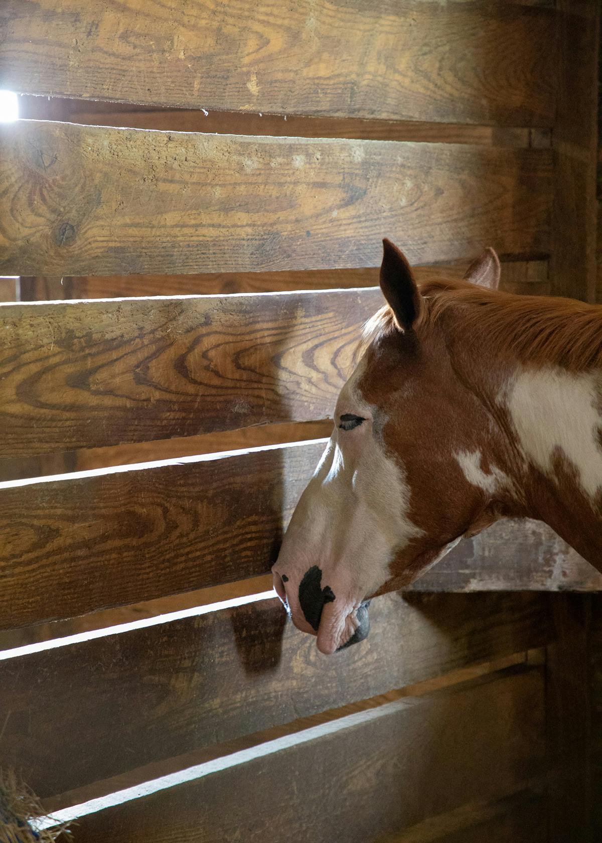 Tatum Shaw’s eerie photography is inspired by nostalgia