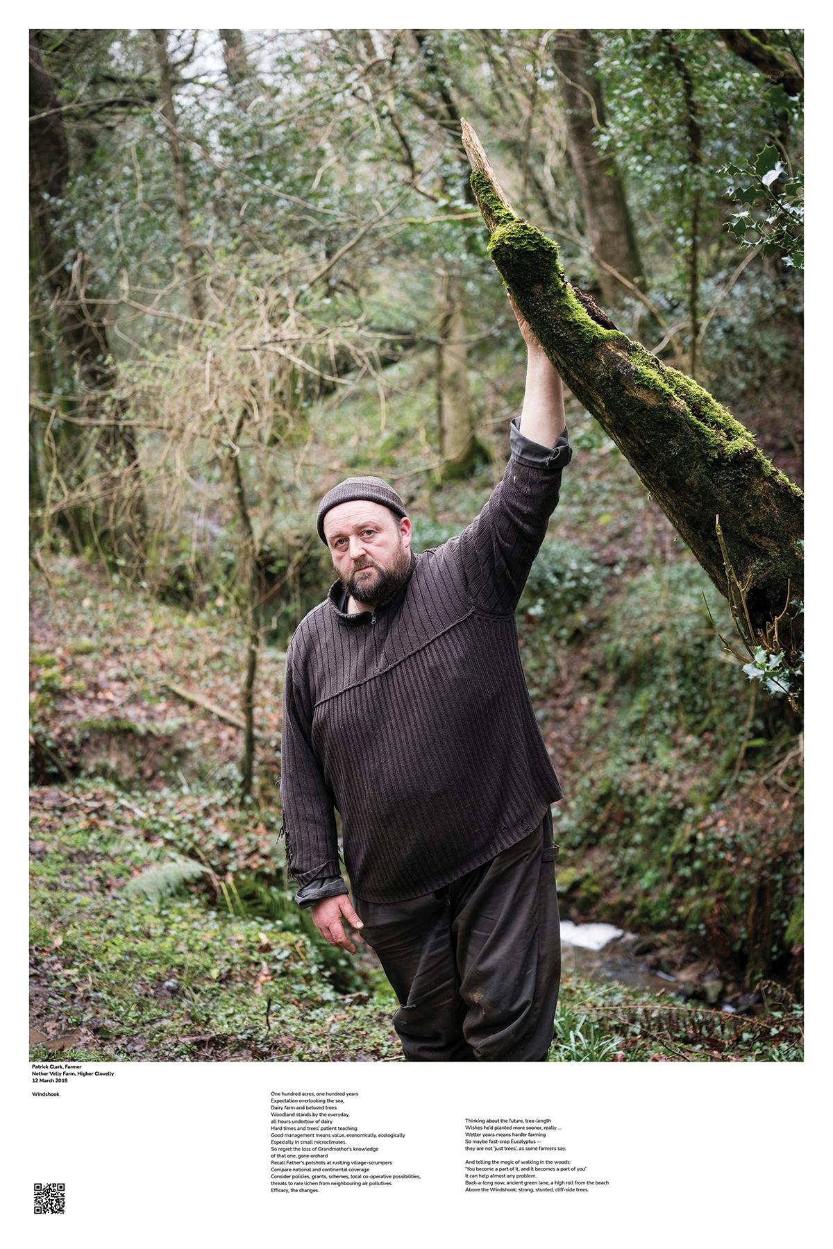 Celebrating the power of trees with photography and poetry