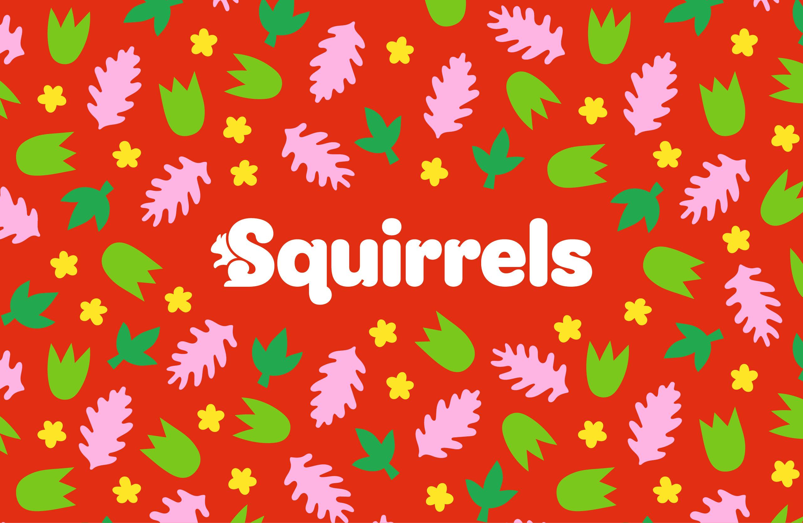 Scouts introduces new early years programme Squirrels, with branding by ...