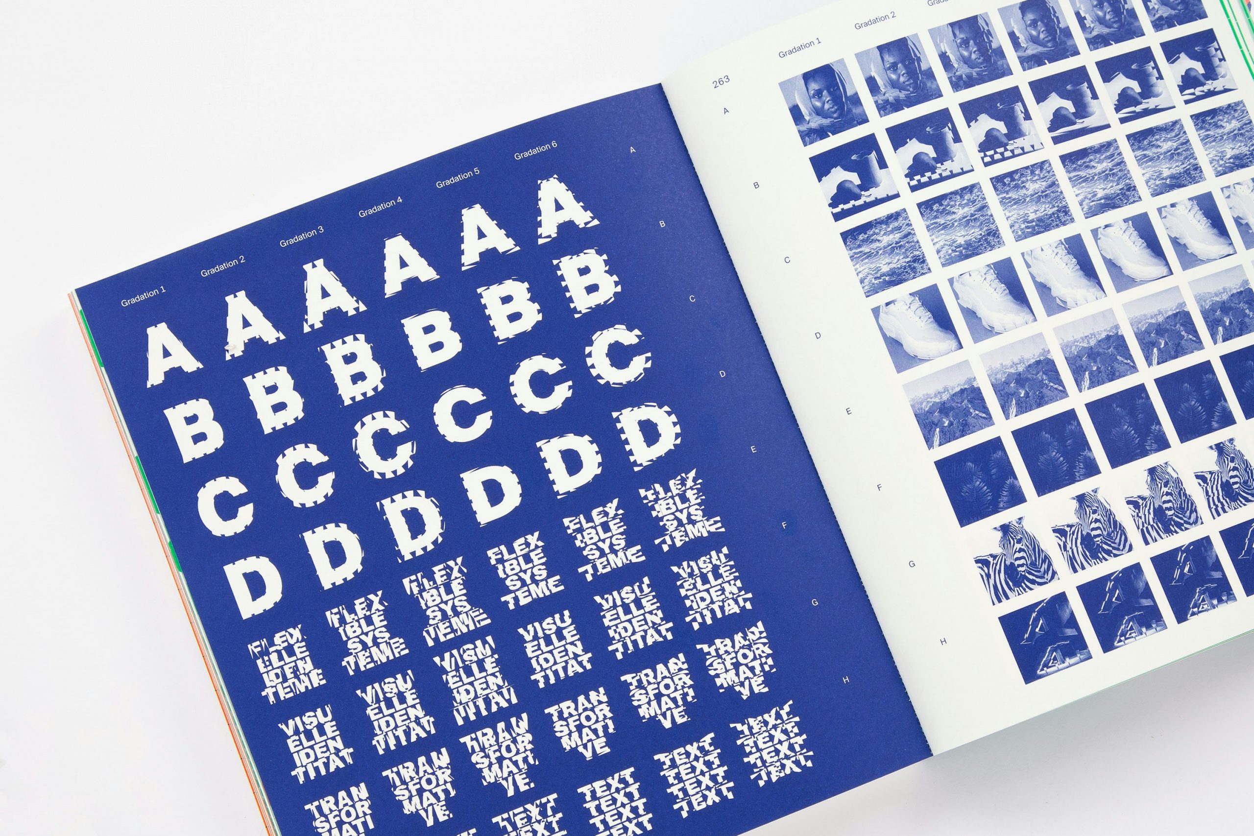 Everything you need to know about flexible visual identity systems