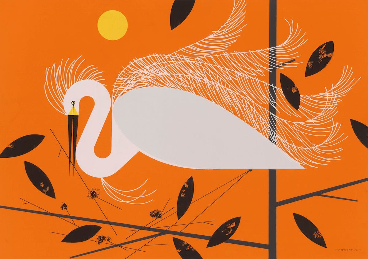 A mid-century modernist take on animal illustration