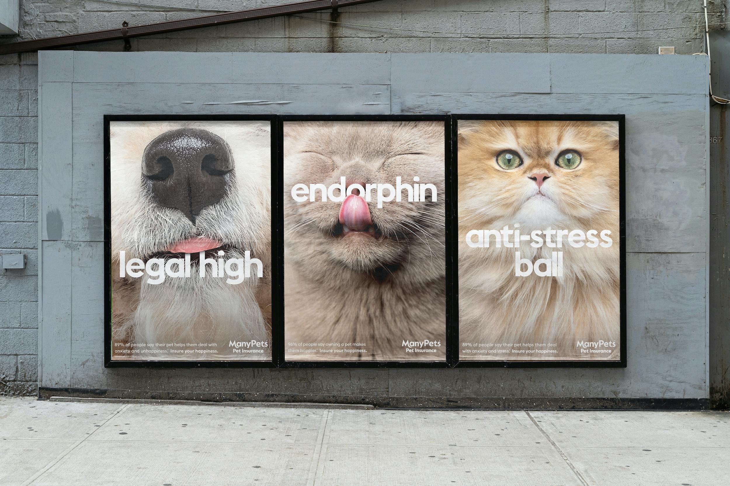 ManyPets’ cute ads emphasise the health benefits of pets