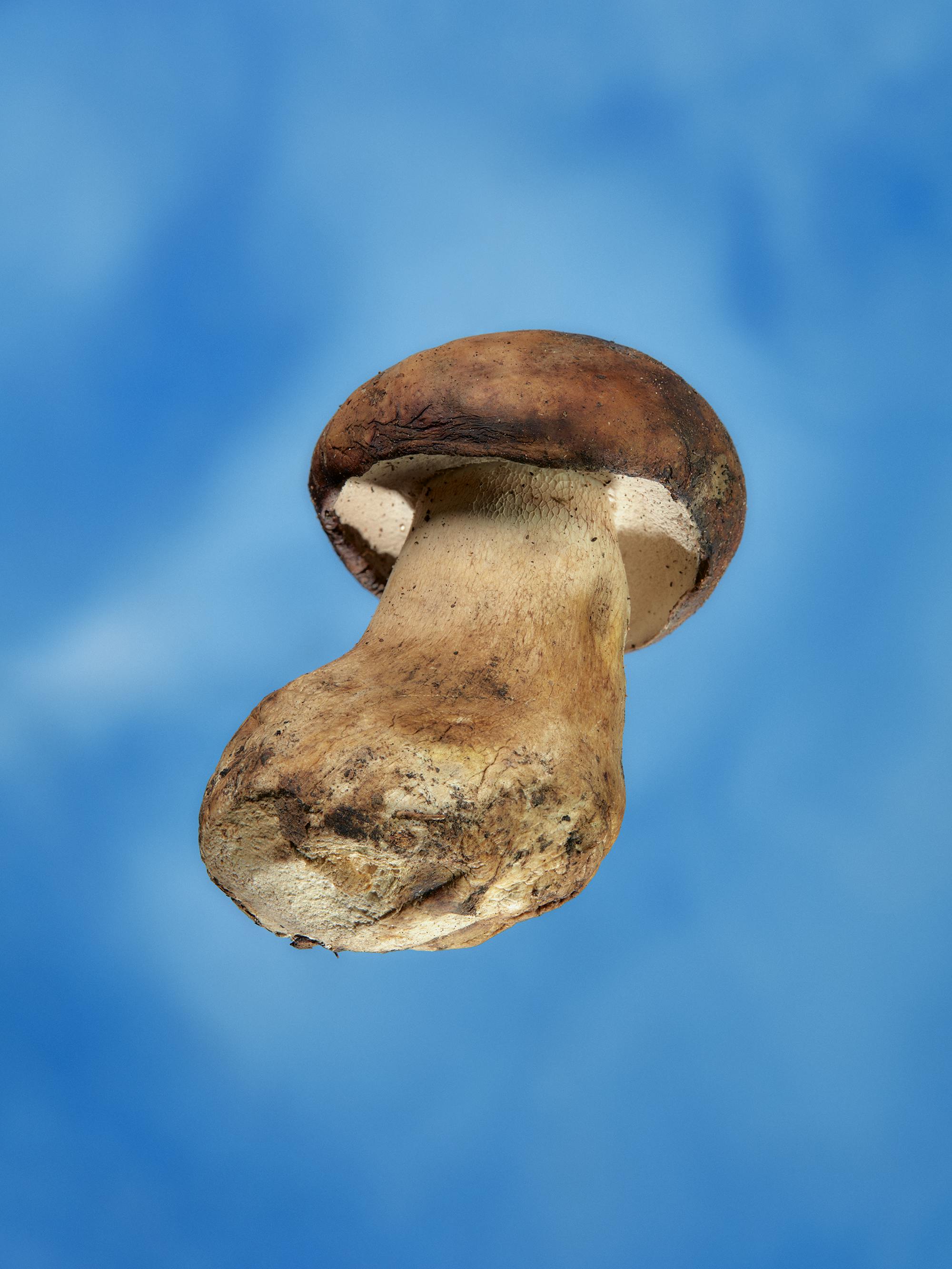 David Brandon Geeting: 10 14 Gallery