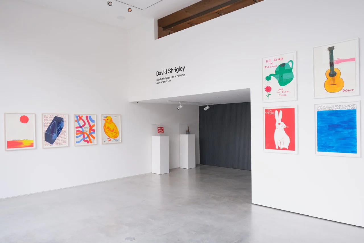 A new David Shrigley show captures his immutable charm and wit