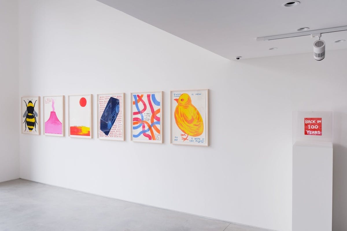 A new David Shrigley show captures his immutable charm and wit