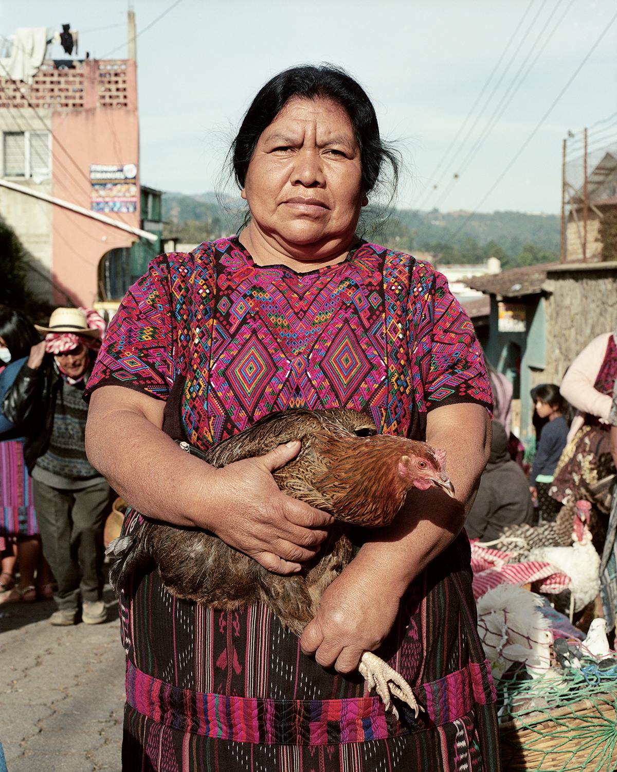 Juan Brenner: Genesis