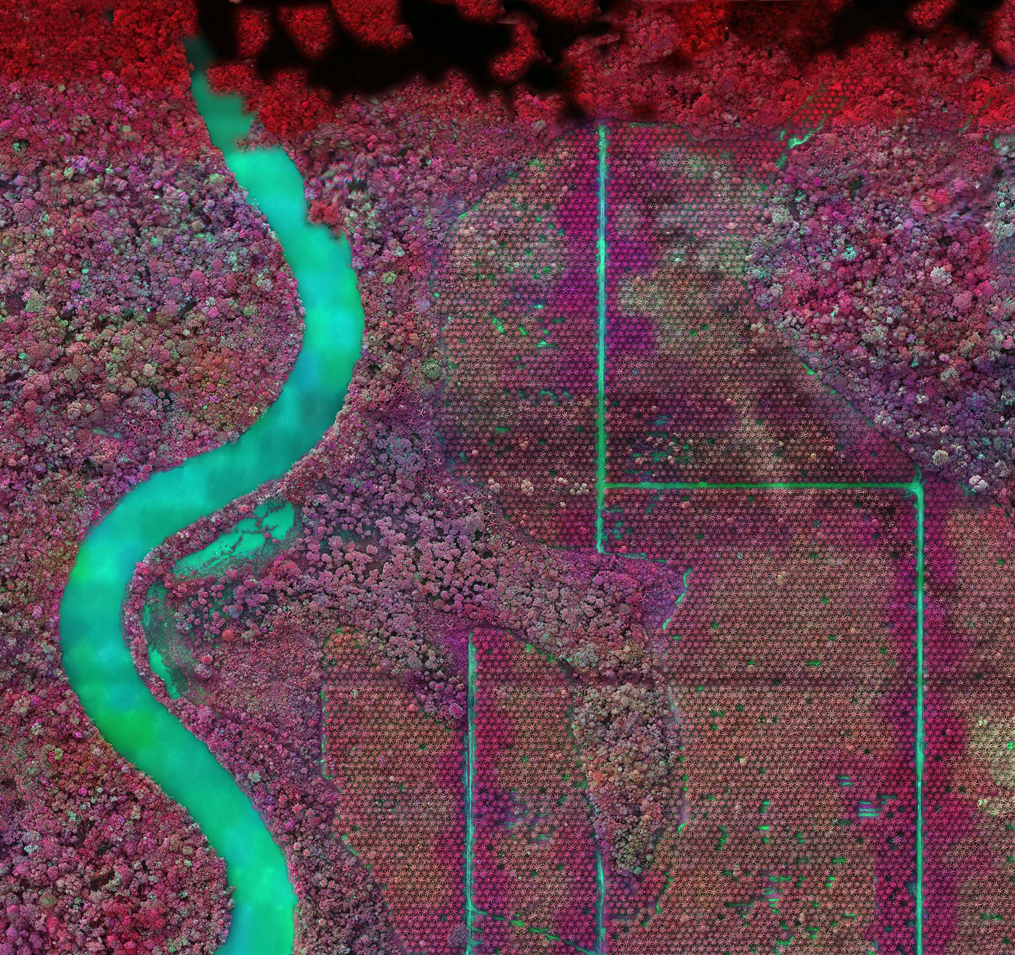 Richard Mosse: Broken Spectre