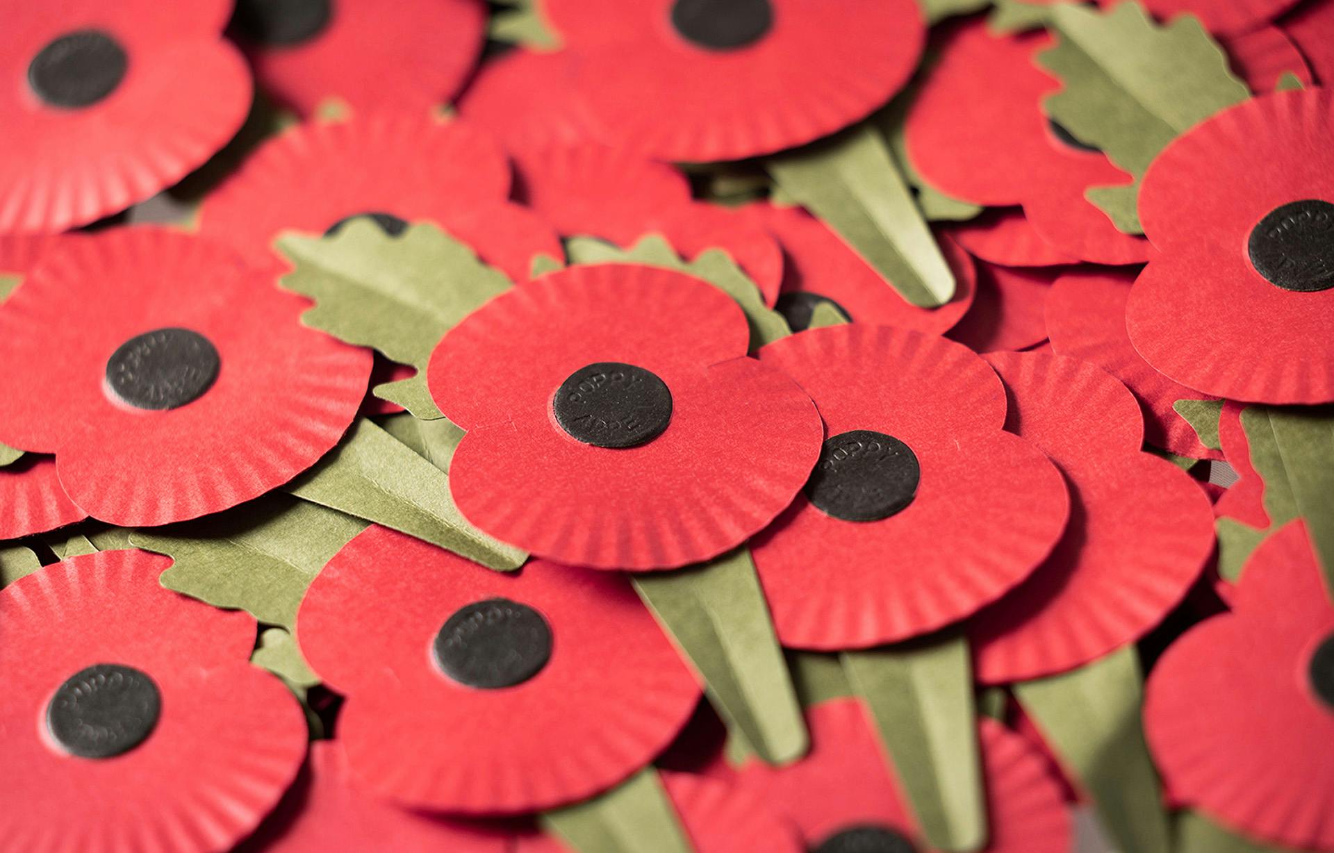 Royal British Legion reveals plastic-free poppy design