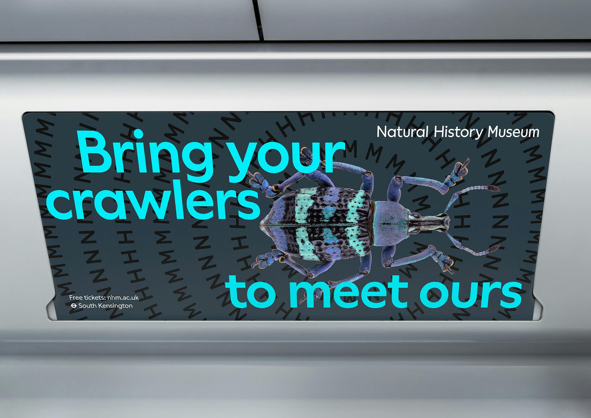 A new era for the Natural History Museum