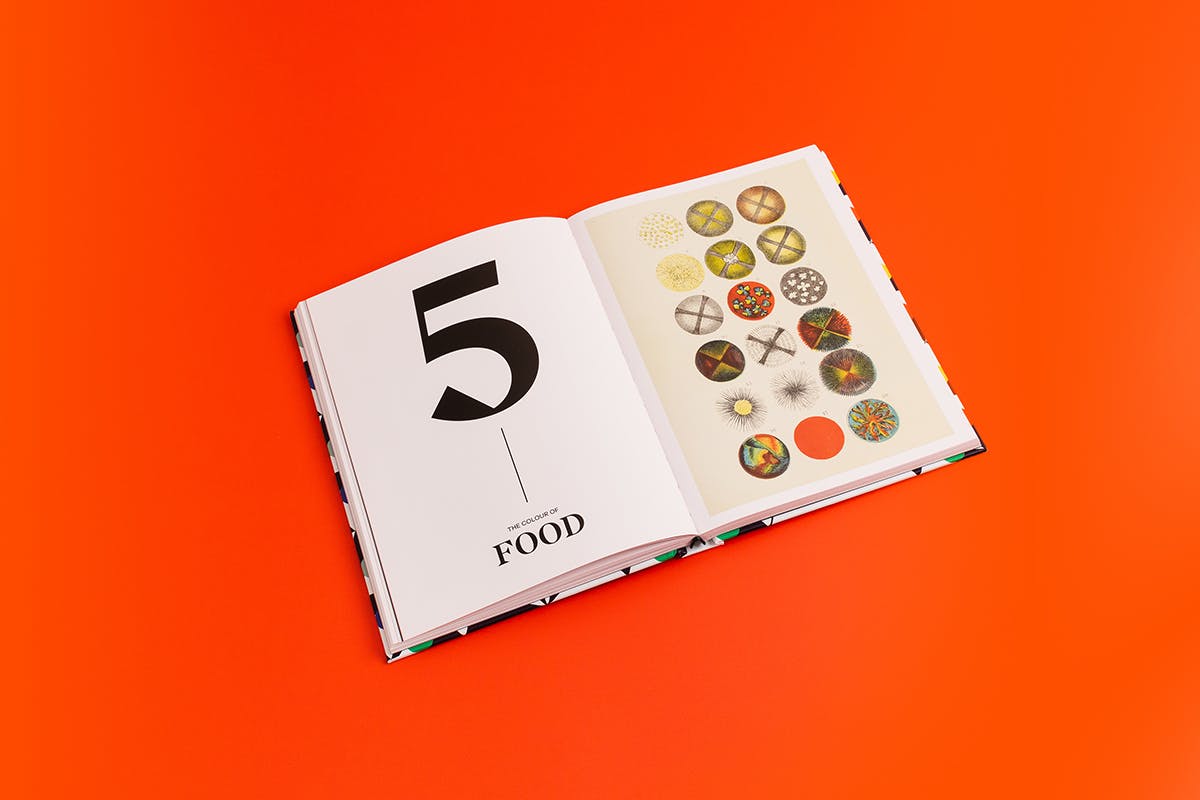 The history of colour explored in new book