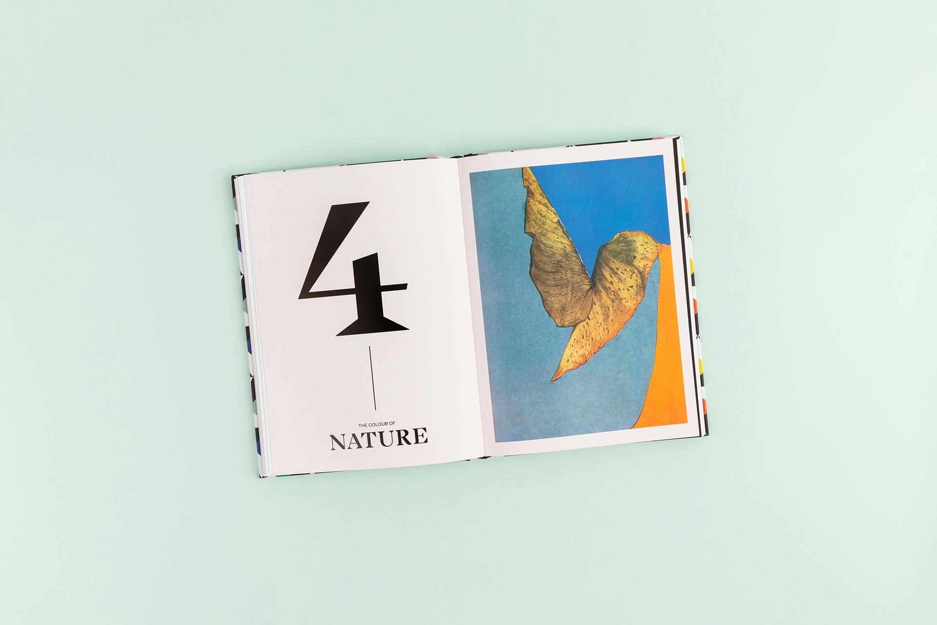 The history of colour explored in new book