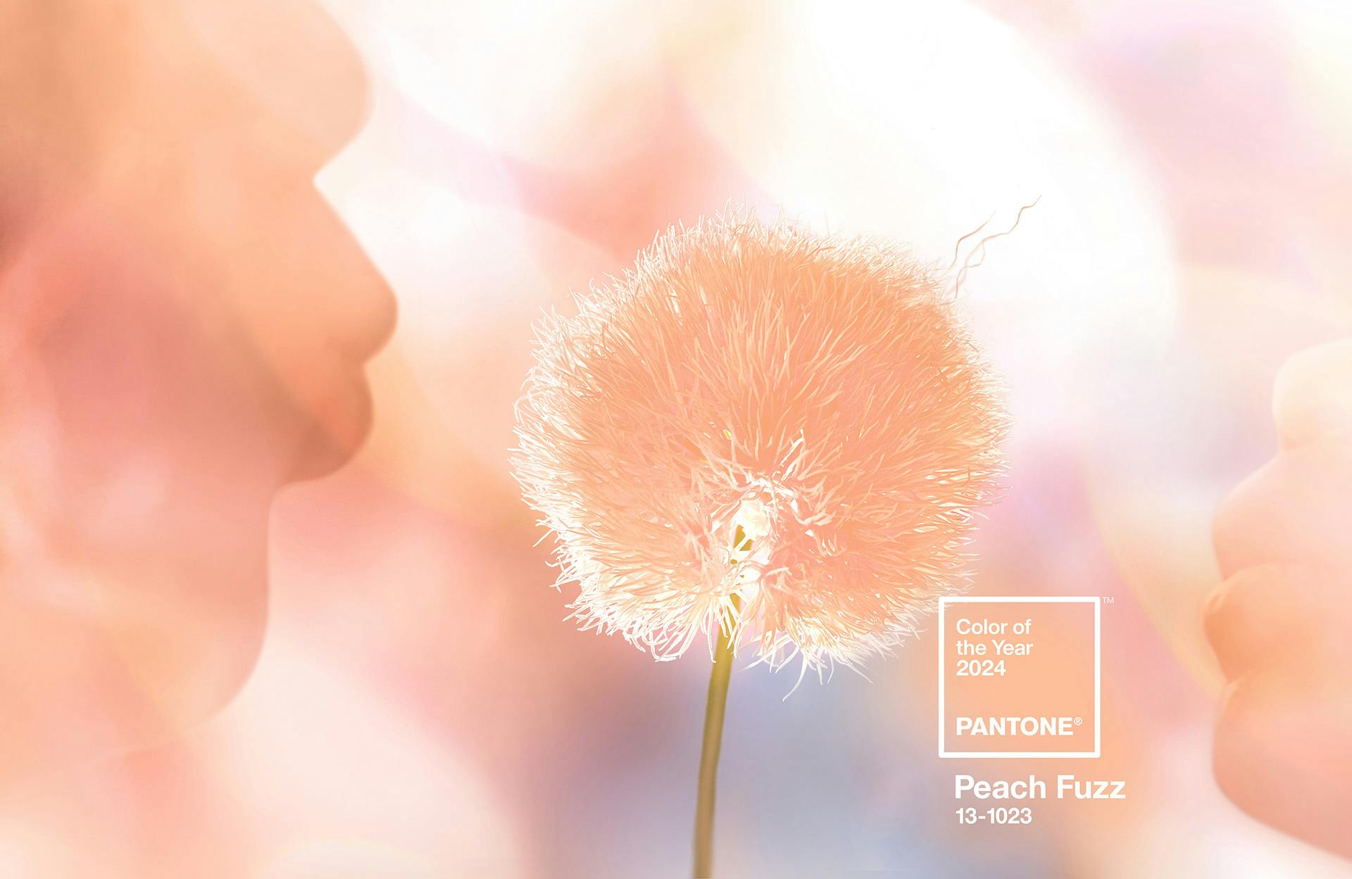 It’s all peachy, according to Pantone’s Colour of the Year 2024