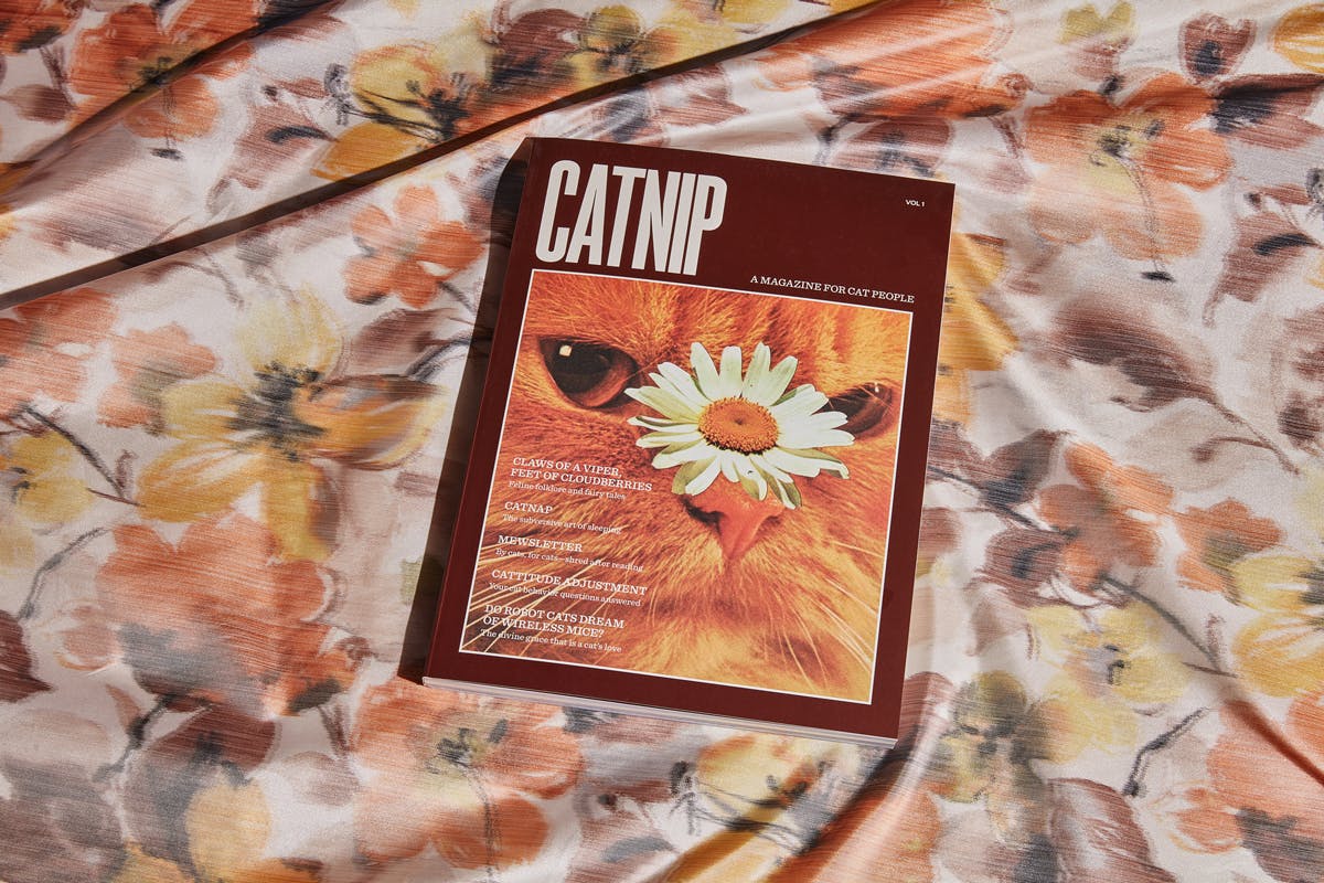 Good Reads: Catnip unpacks our obsession with our furry friends