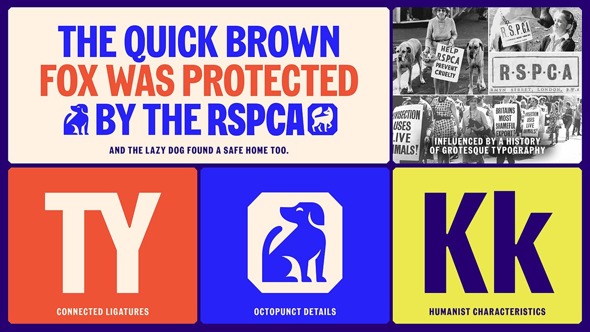 RSPCA reveals first major branding update in 50 years