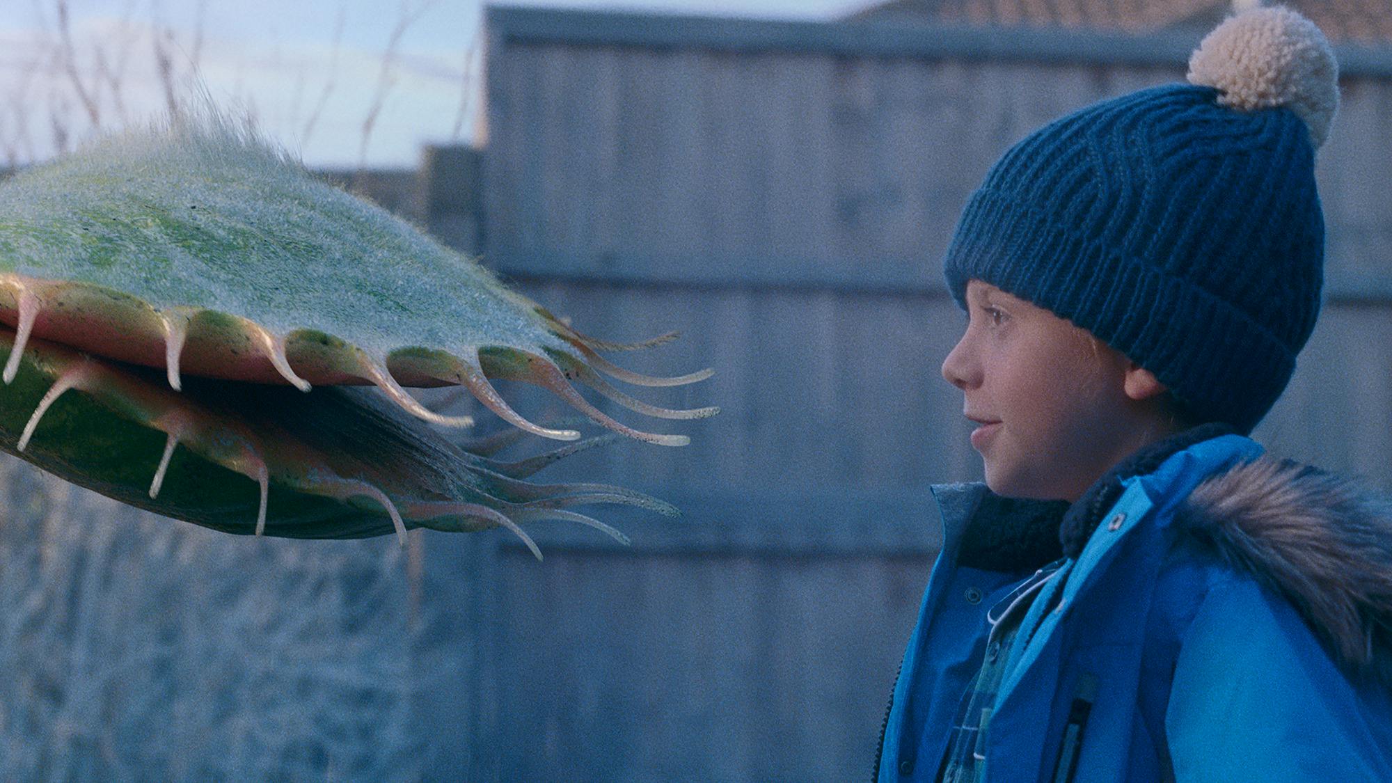John Lewis: Snapper, The Perfect Tree commercial