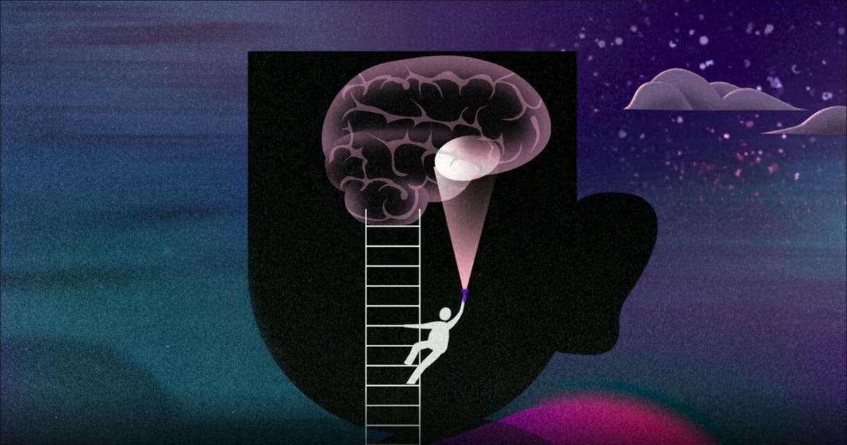 Dreamachine: The Perception Census digital platform