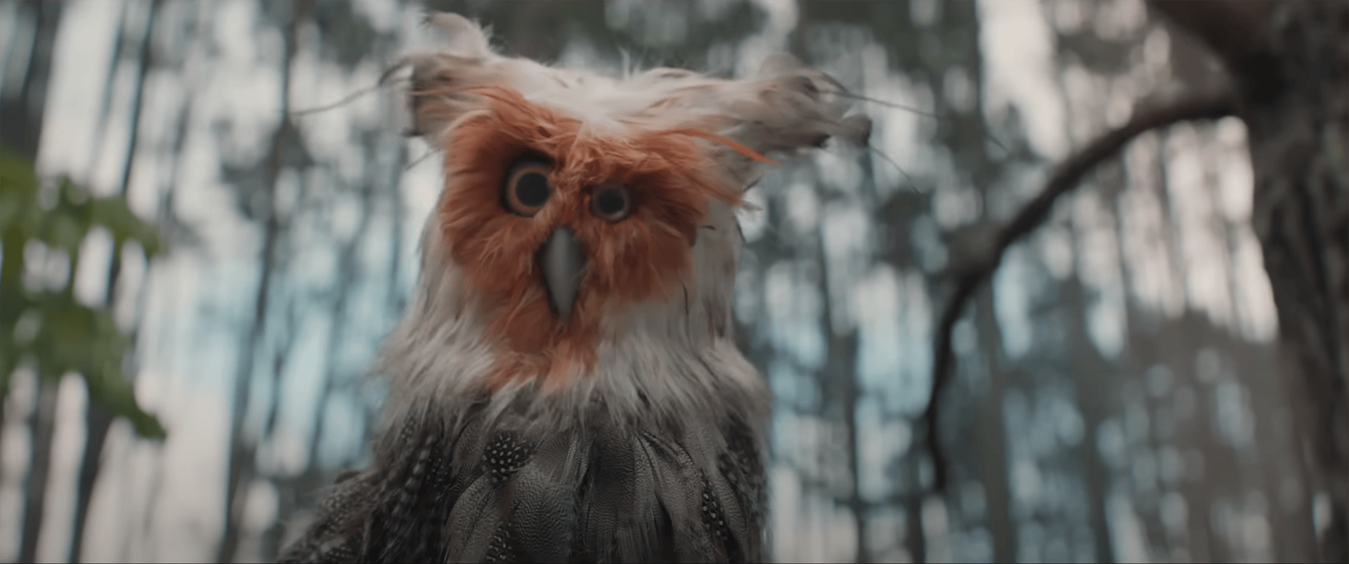 Apple: The Lost Voice campaign