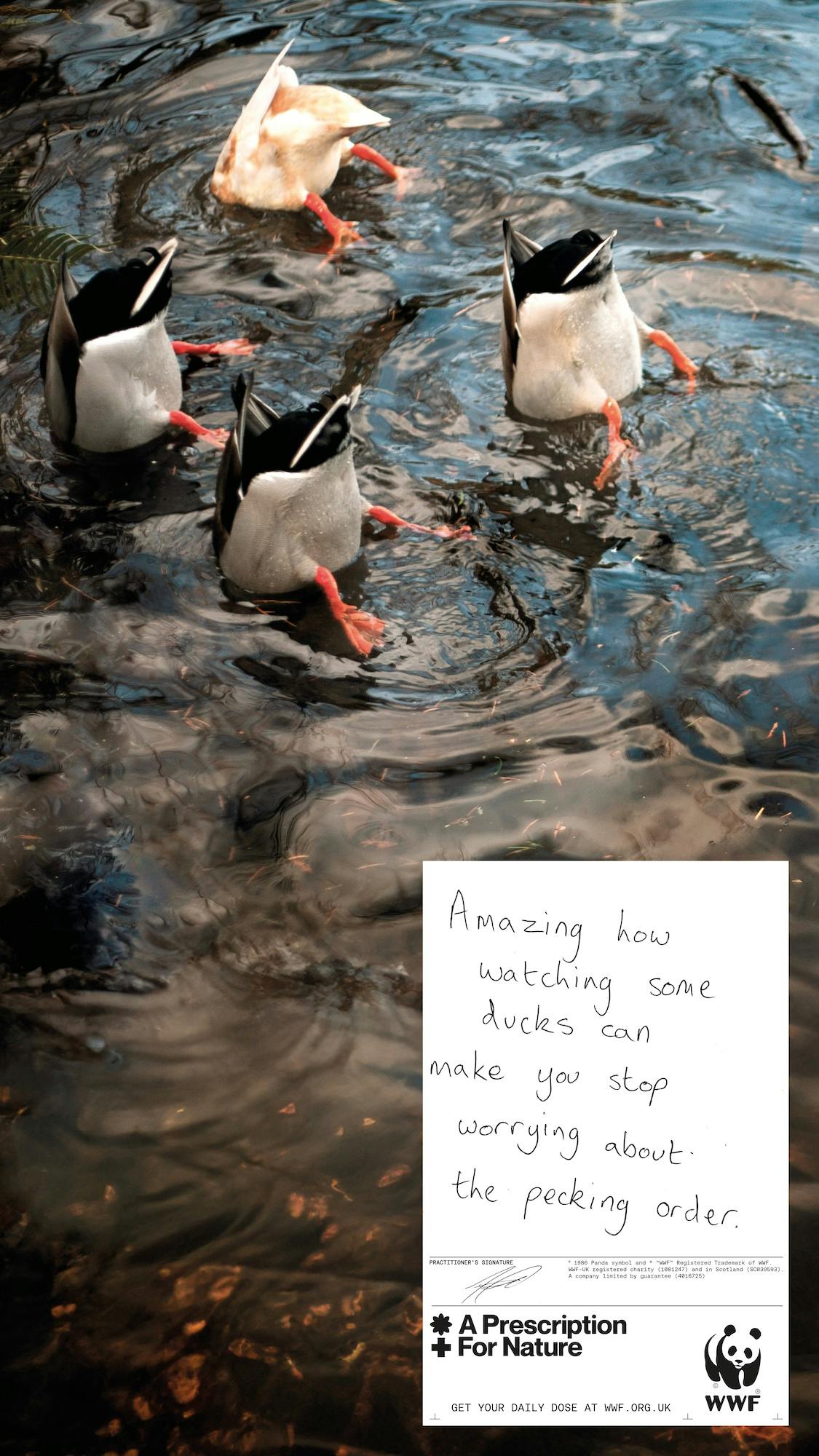 WWF and Parkrun focus on the benefits of nature in new ads