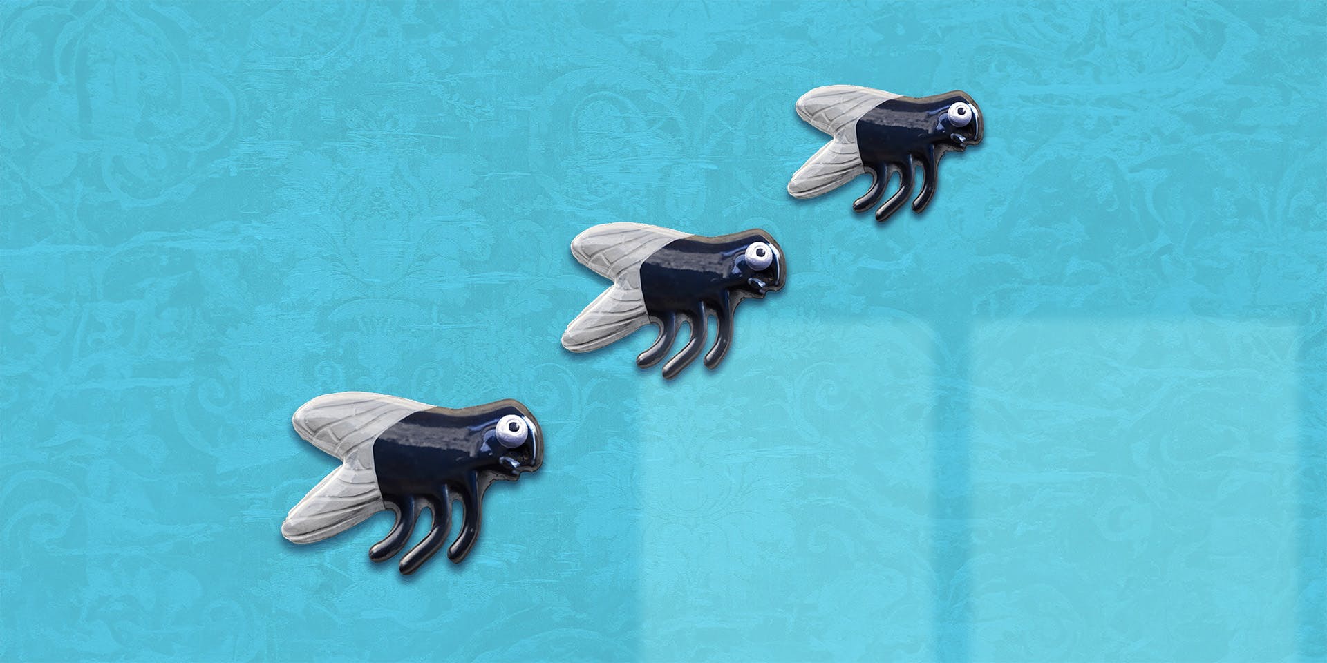 Modern Toss marks 20 years with exhibition