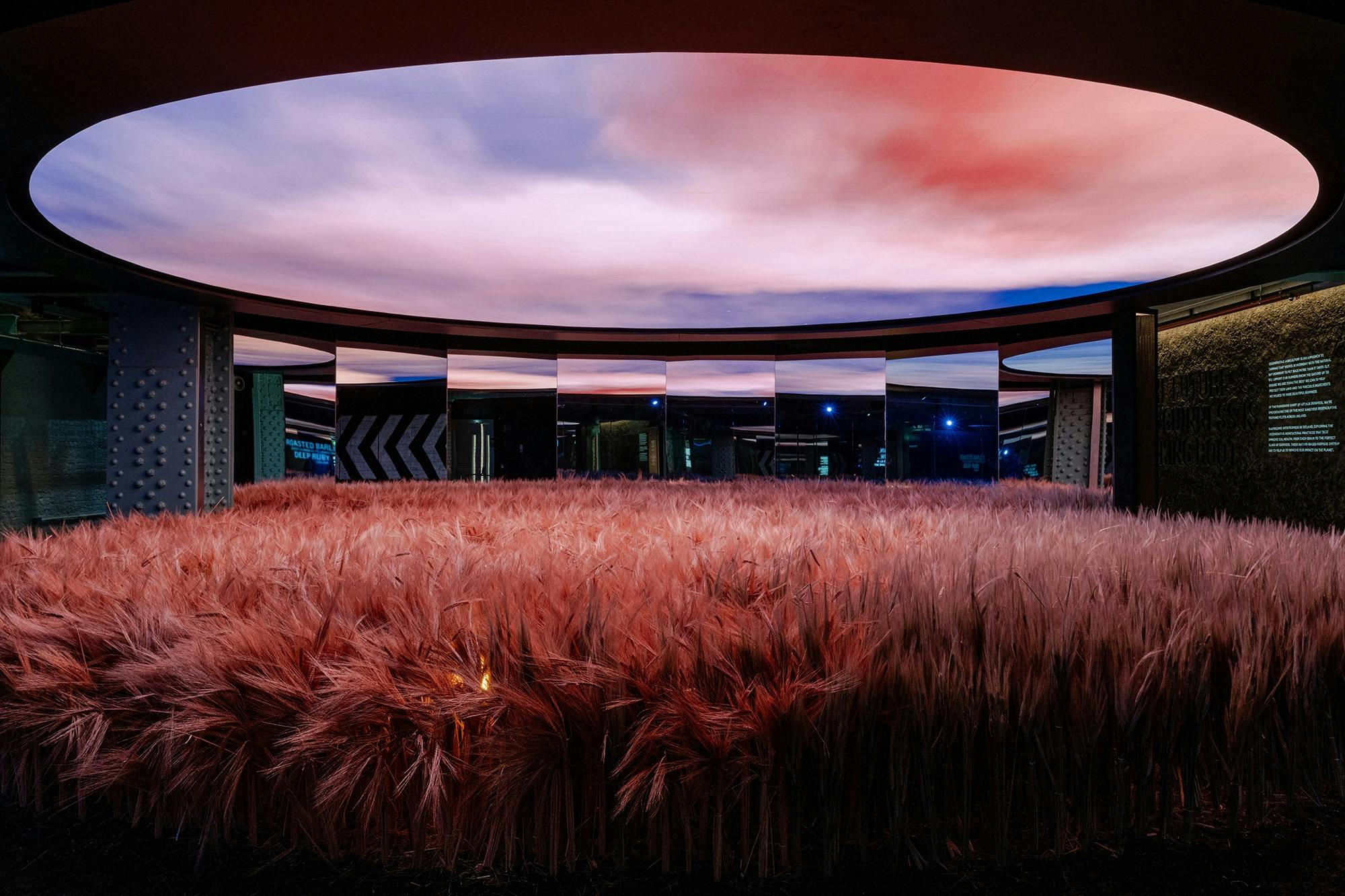 Guinness Storehouse Ingredients experience