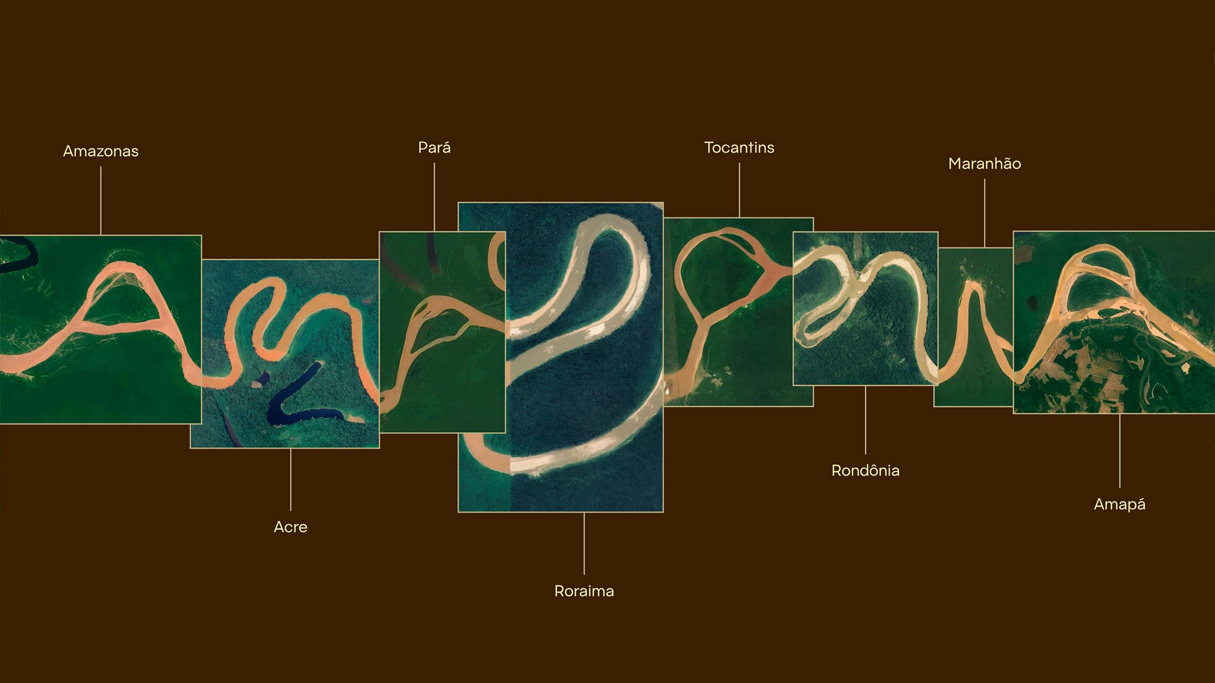 The Brazilian Amazon gets historic new brand identity