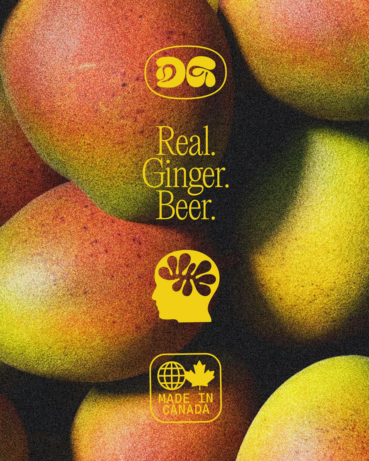 Pendo captures the unpretentious spirit of Dickie’s Ginger