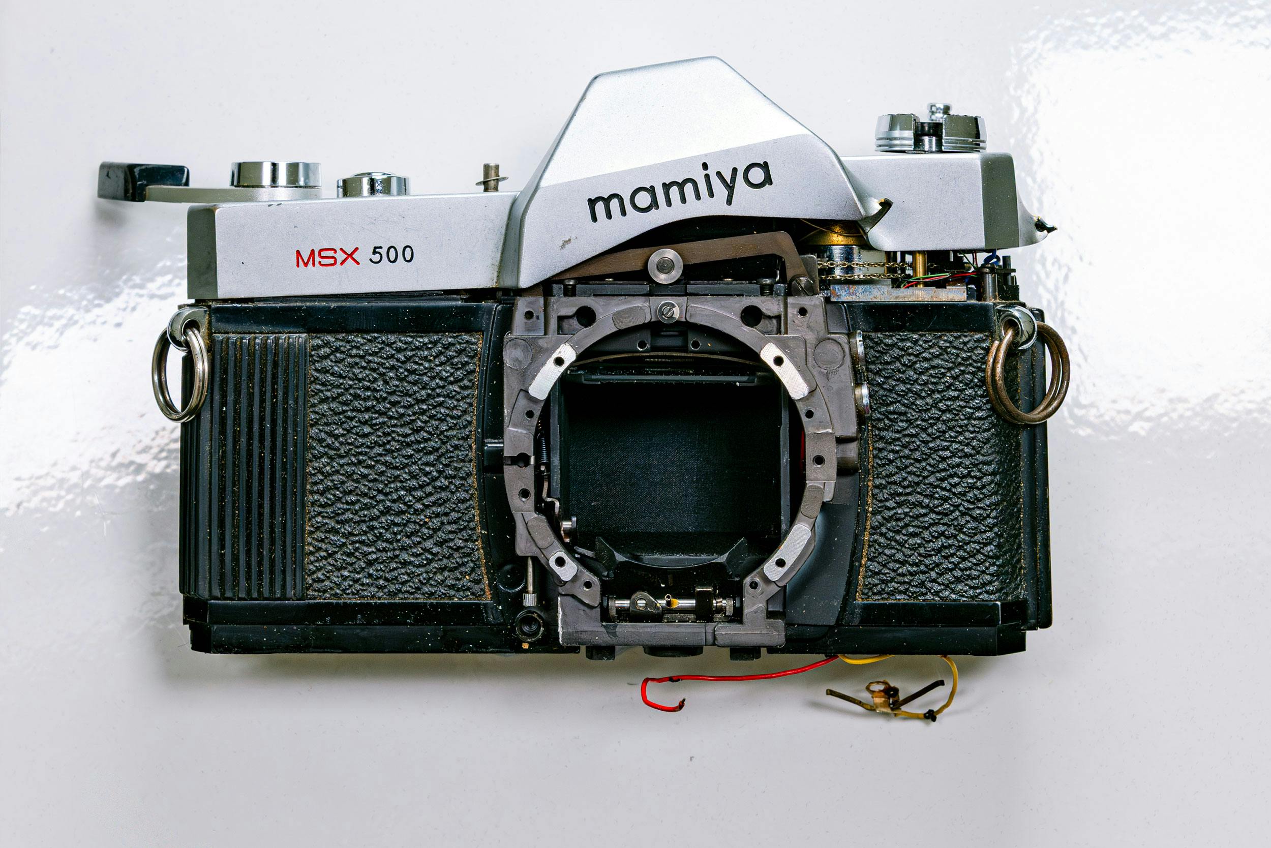 Is the camera obsolete? Belfast Photo Festival asks you to decide